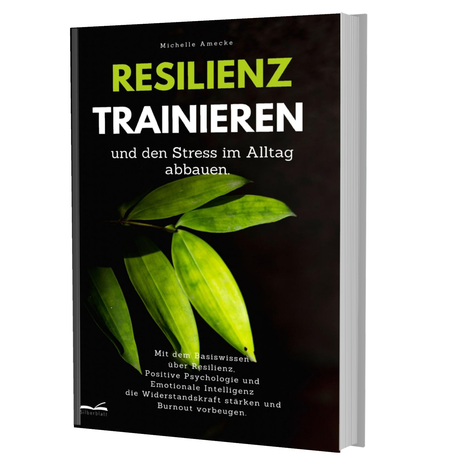 Resilienz - wie stark bist du in Krisen? - Gründungs- und ...